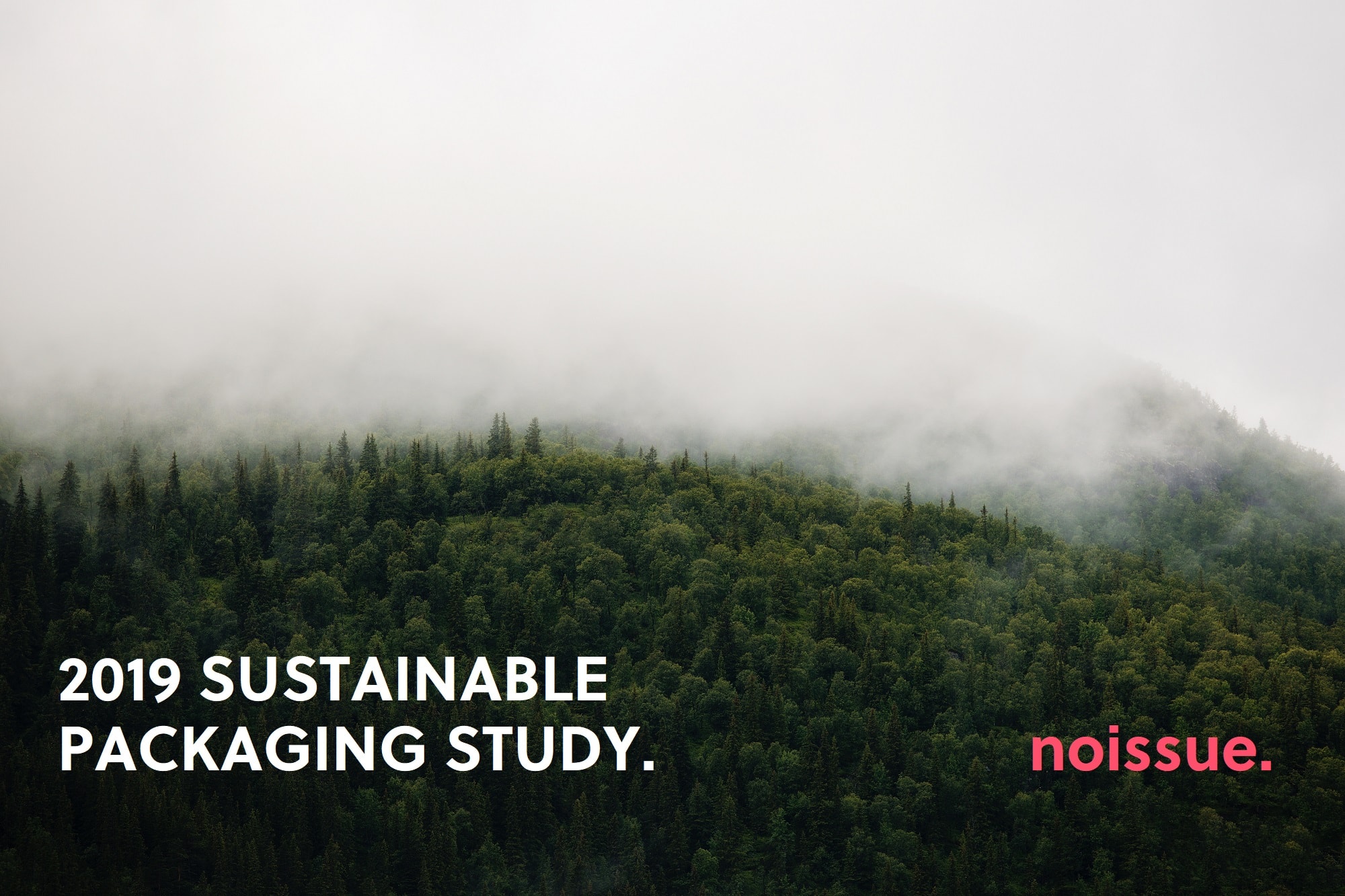 Custom Tissue. Designed, sealed, delivered. | noissue